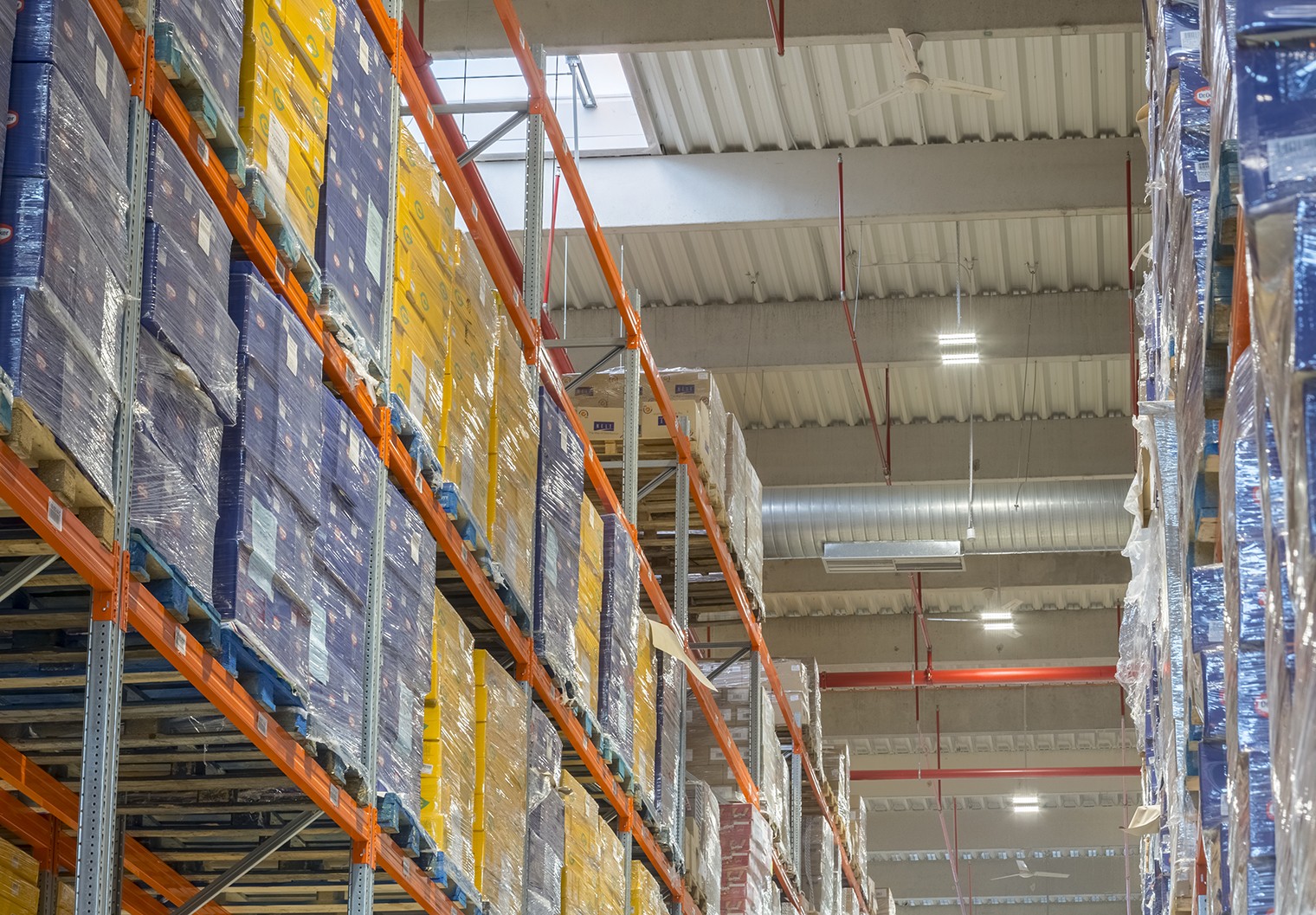 Nelt - BUCK high quality LED lighting - BUCK projects