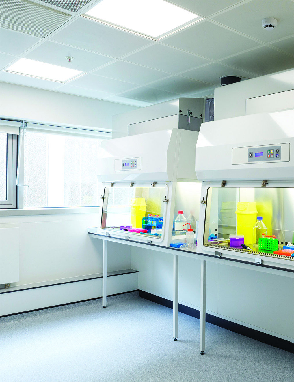 BUCK High Quality LED Lighting - Efficient & Innovative Design