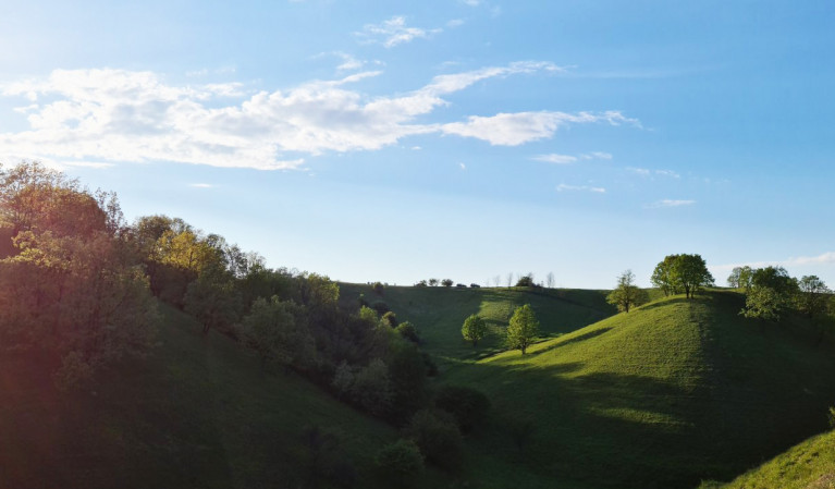 BUCK High Quality LED Lighting - Efficient & Innovative Design