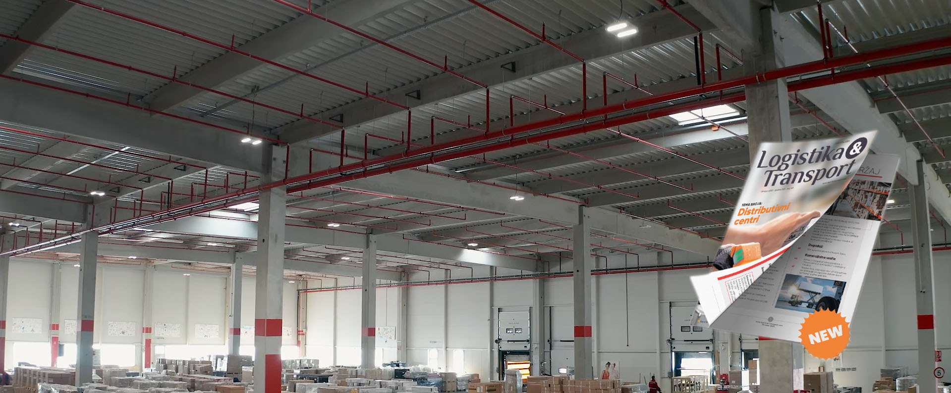 Buck lighting - Logistika&Transport