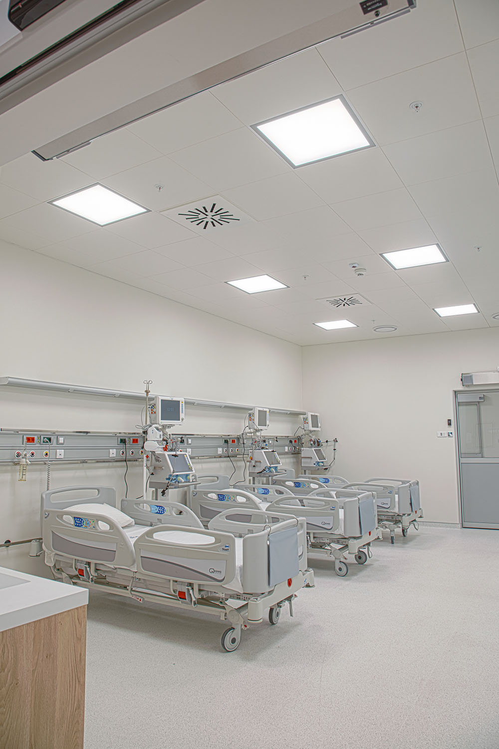 BioCell Hospital - BUCK